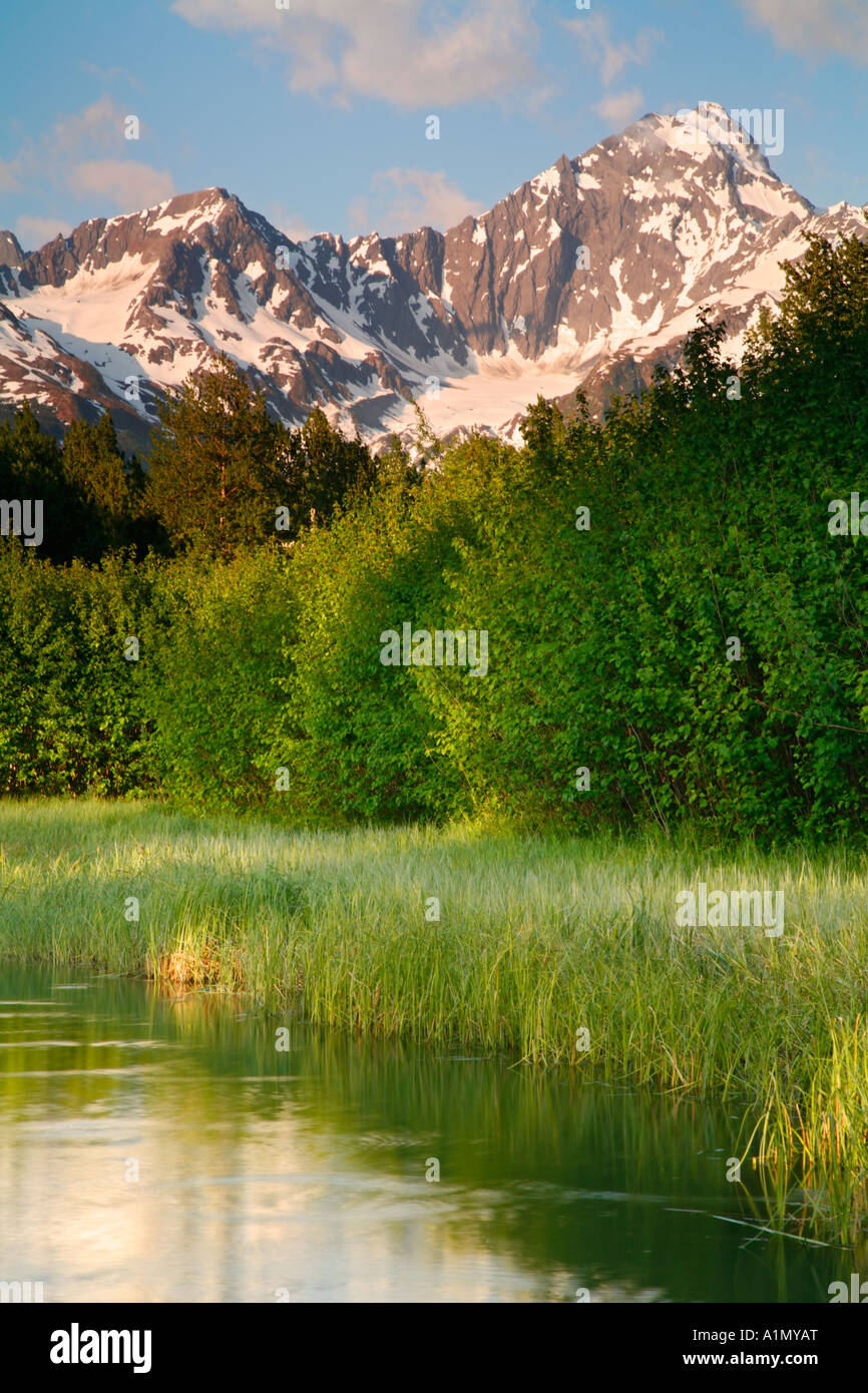 Mt Alice and a small pond on the Kenai Peninsula Chugach National ...