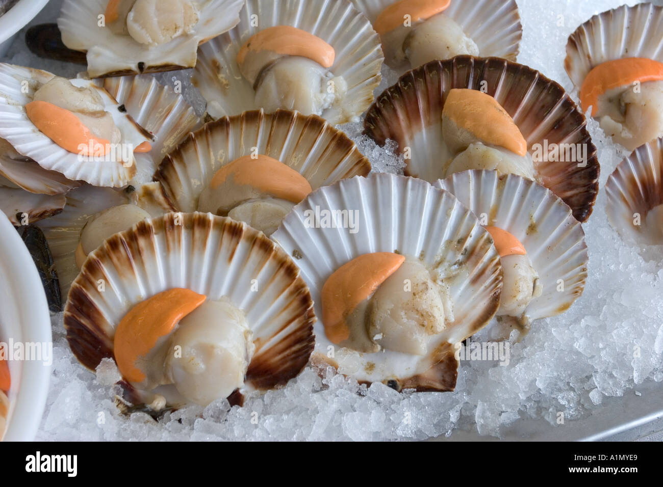 Fish Market Whitstable Kent Stock Photo - Alamy