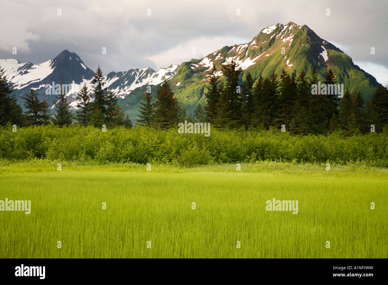Copper River Delta Cordova Chugach National Forest Alaska Stock Photo ...