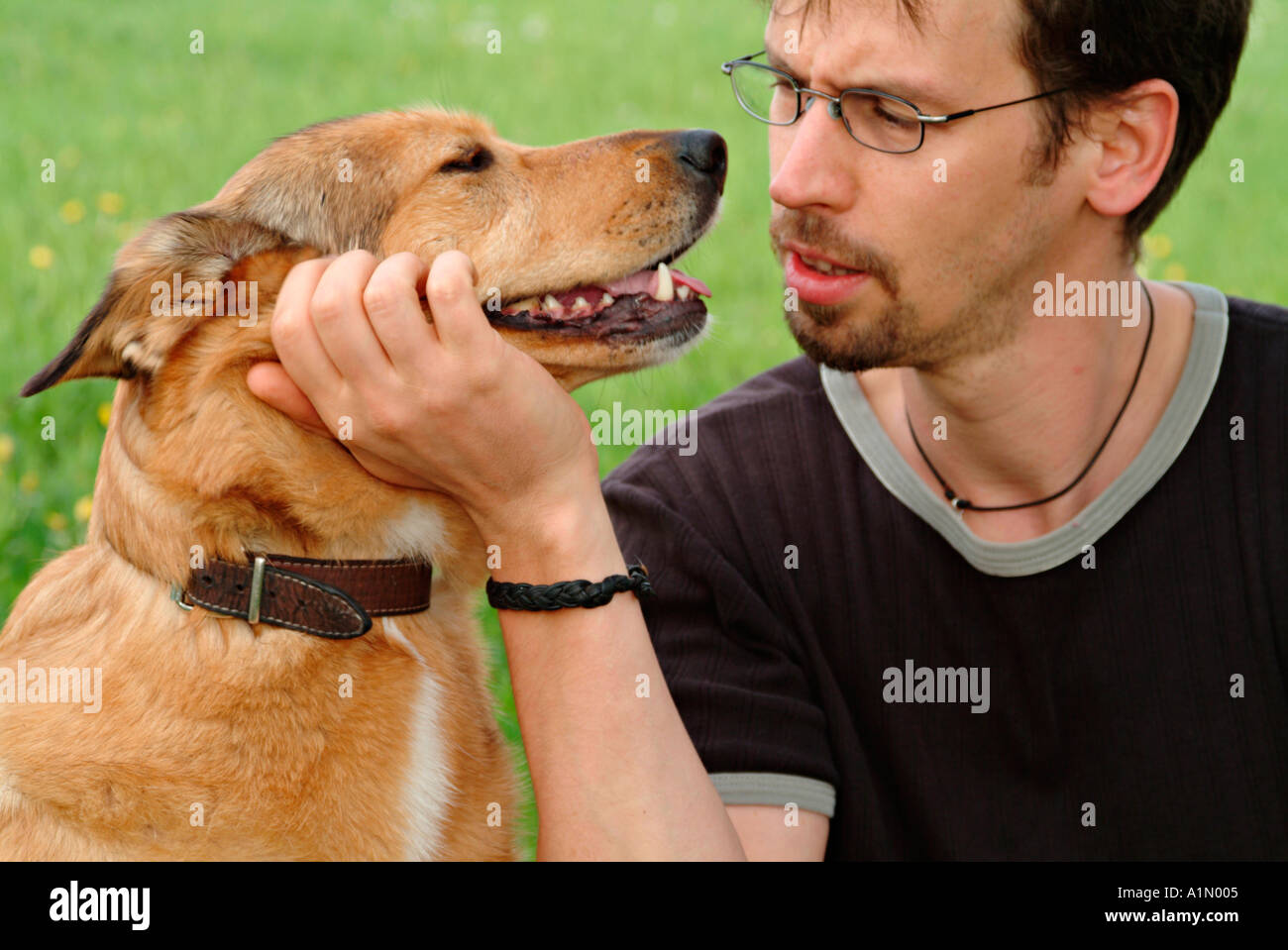 Dog connecting with owner hi-res stock photography and images - Alamy