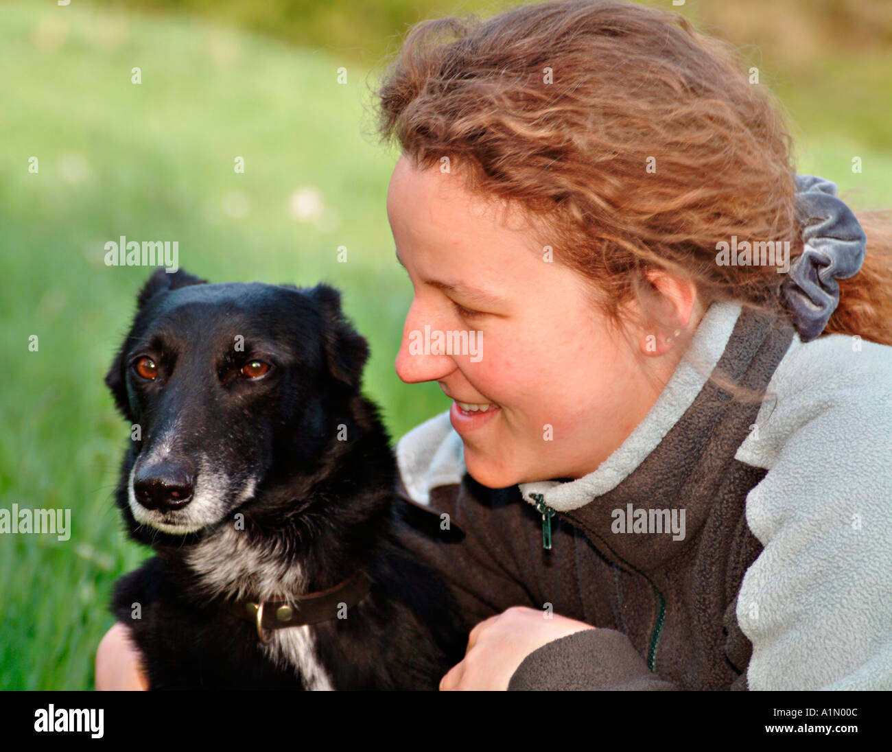 Dog connecting with owner hi-res stock photography and images - Alamy