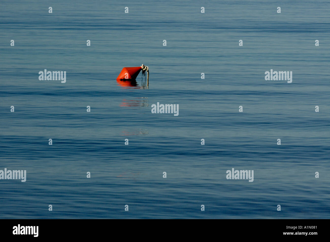 red boye floating on calm surface Stock Photo - Alamy
