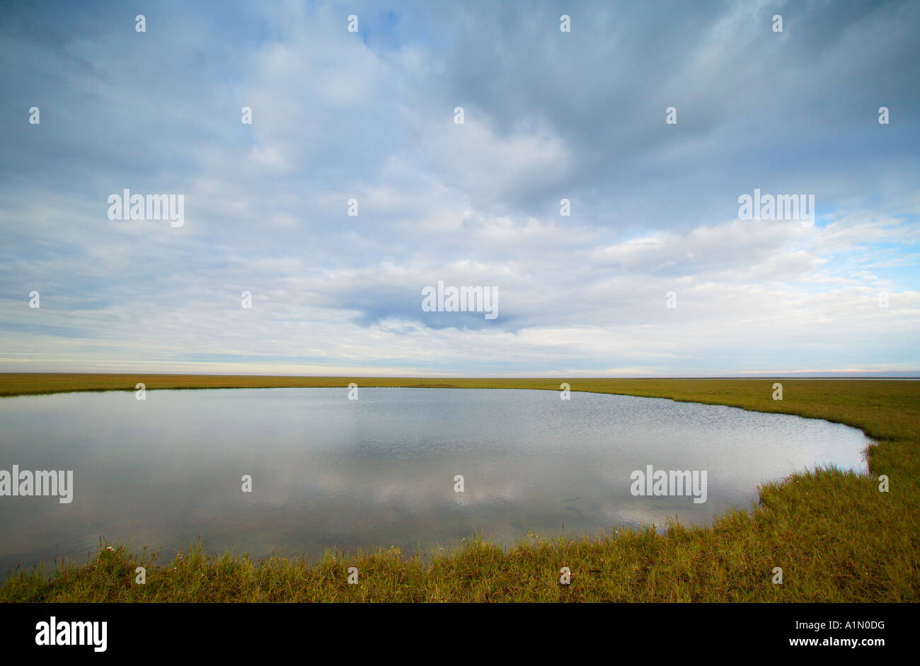 A lake on the Arctic Coastal Plain near the Dalton Highway Alaska Stock ...