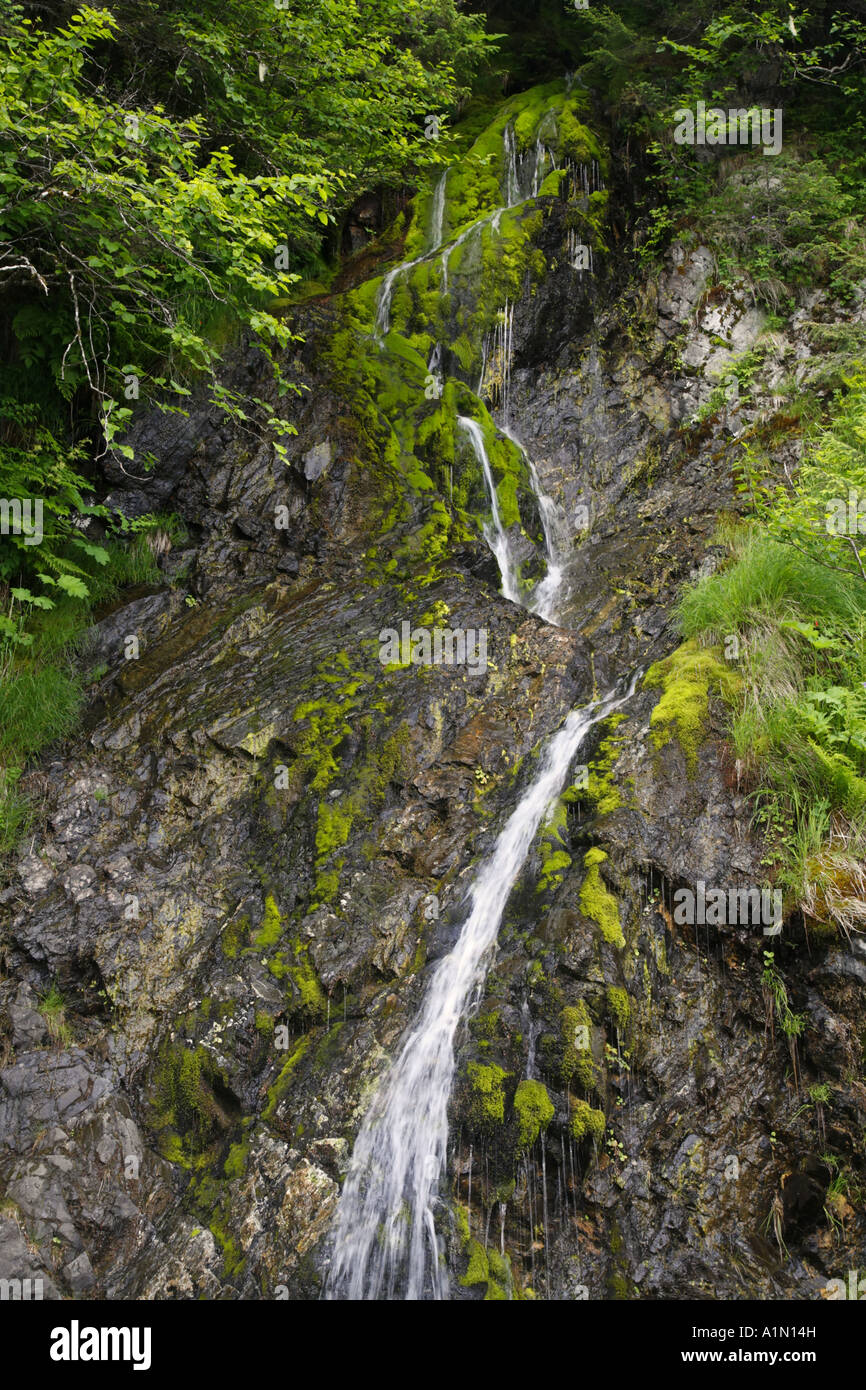 Rainforest waterfall Cordova Chugach National Forest Alaska Stock Photo ...