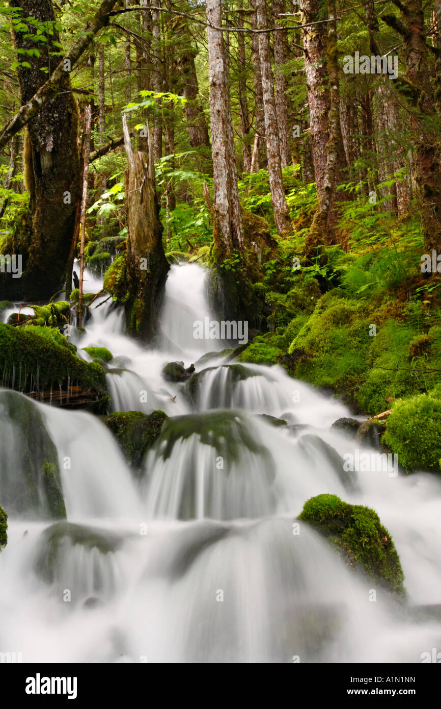 Waterfall in rainforest along Power Creek Road Cordova Chugach National ...