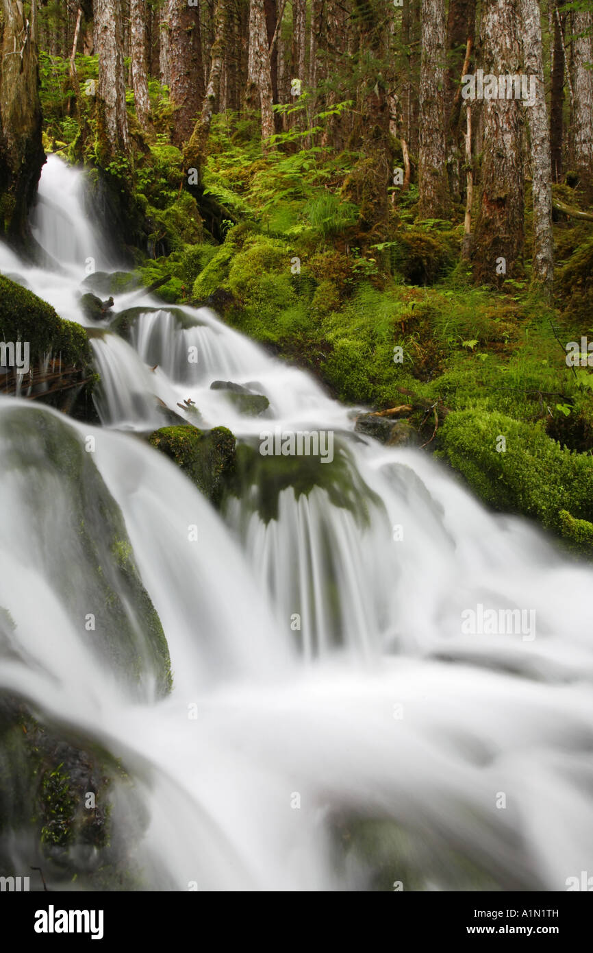 Waterfall in rainforest along Power Creek Road Cordova Chugach National ...