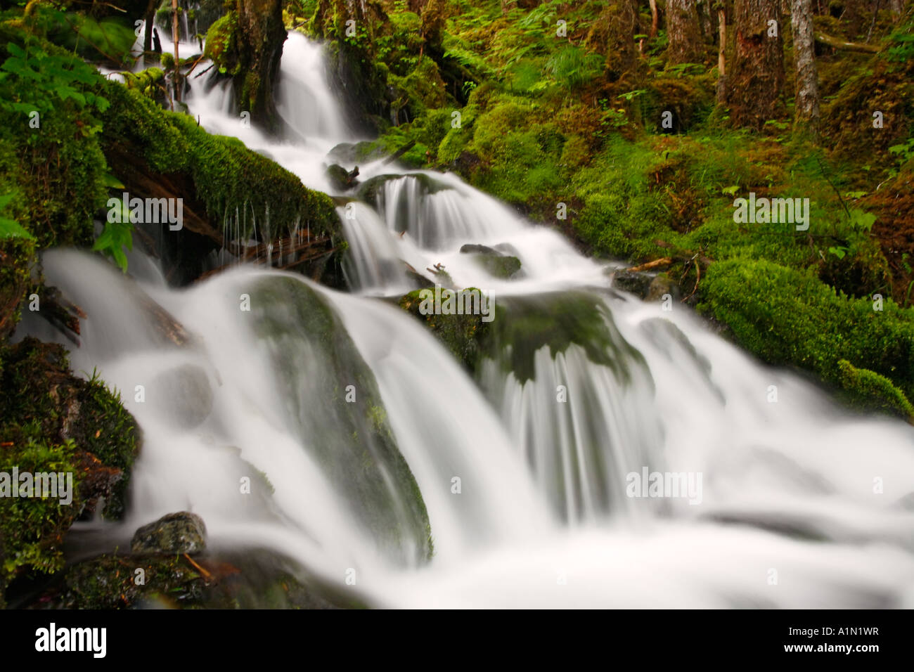 Waterfall in rainforest along Power Creek Road Cordova Chugach National ...