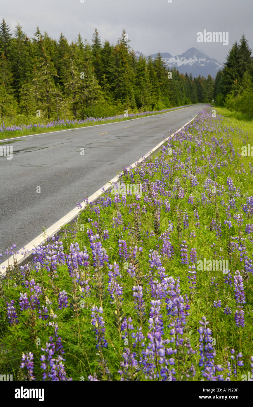 Copper River Highway Cordova Chugach National Forest Alaska Stock Photo ...
