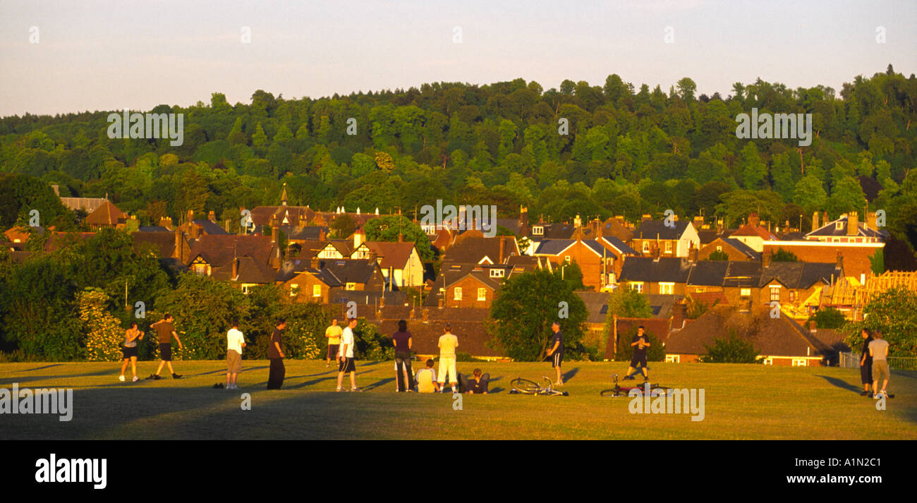Tring park woods hi-res stock photography and images - Alamy