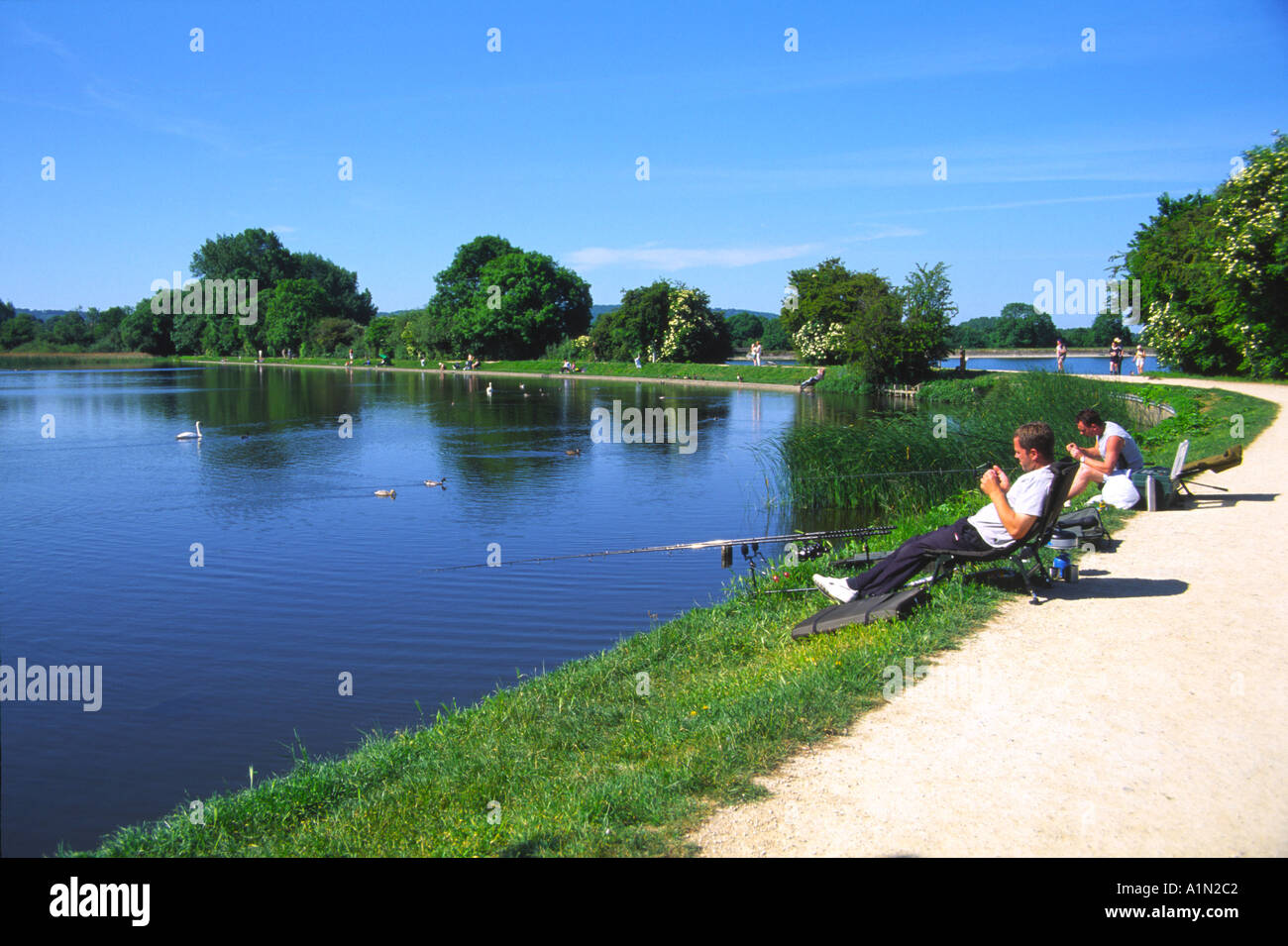 Man Fishing at Tring reservoirs nature reserve Herts Stock Photo - Alamy