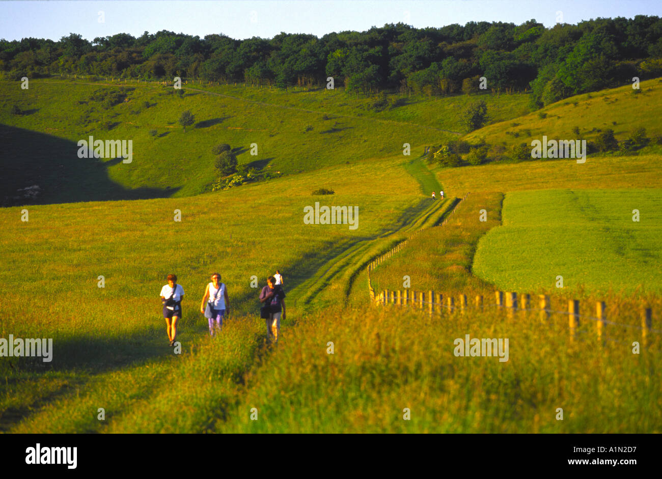 Path from Pitstone Hill to Ivinghoe Beacon Buckinghamshire Stock Photo ...
