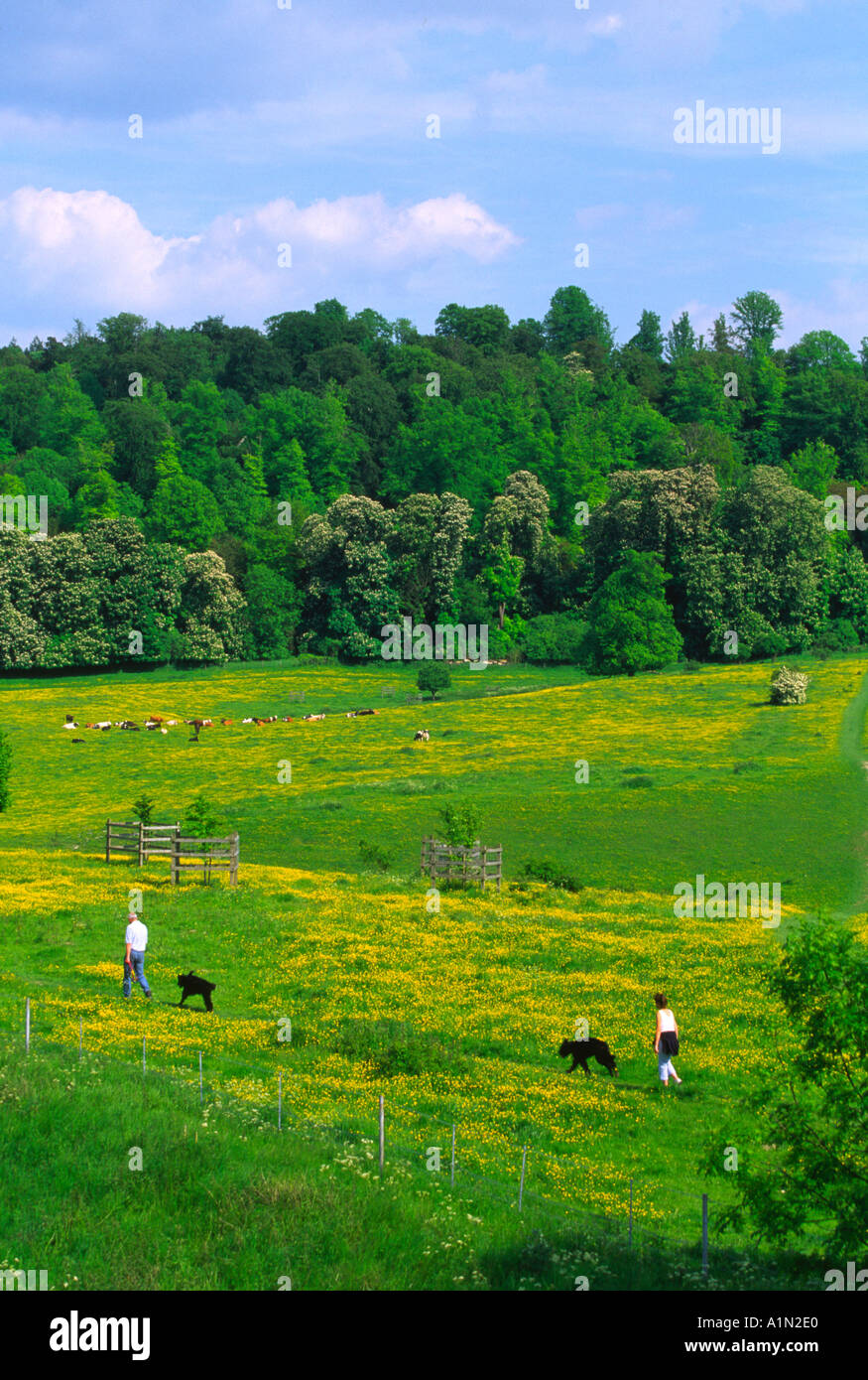 Tring park hi-res stock photography and images - Alamy