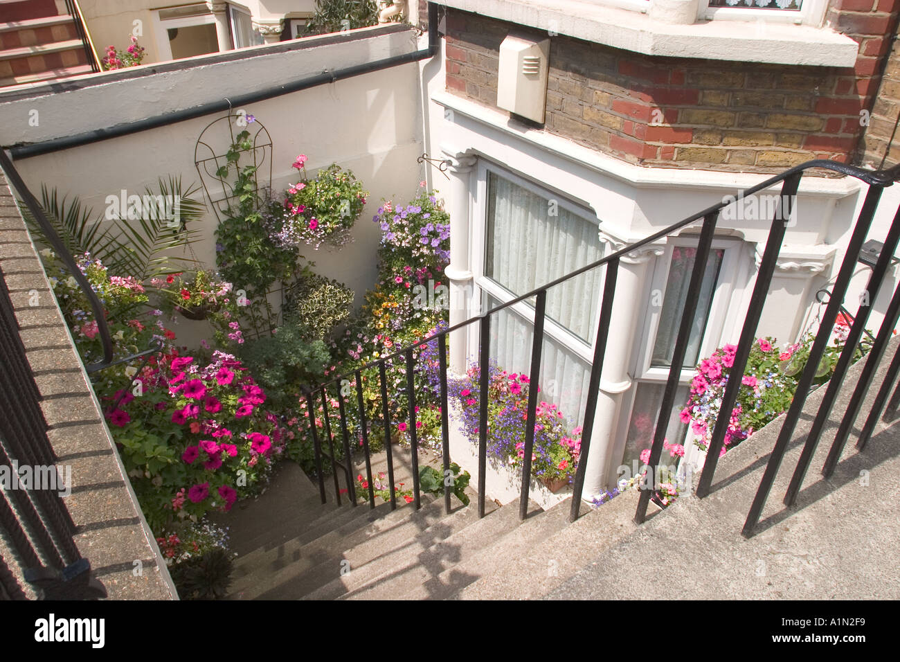 Basement garden hi-res stock photography and images - Alamy