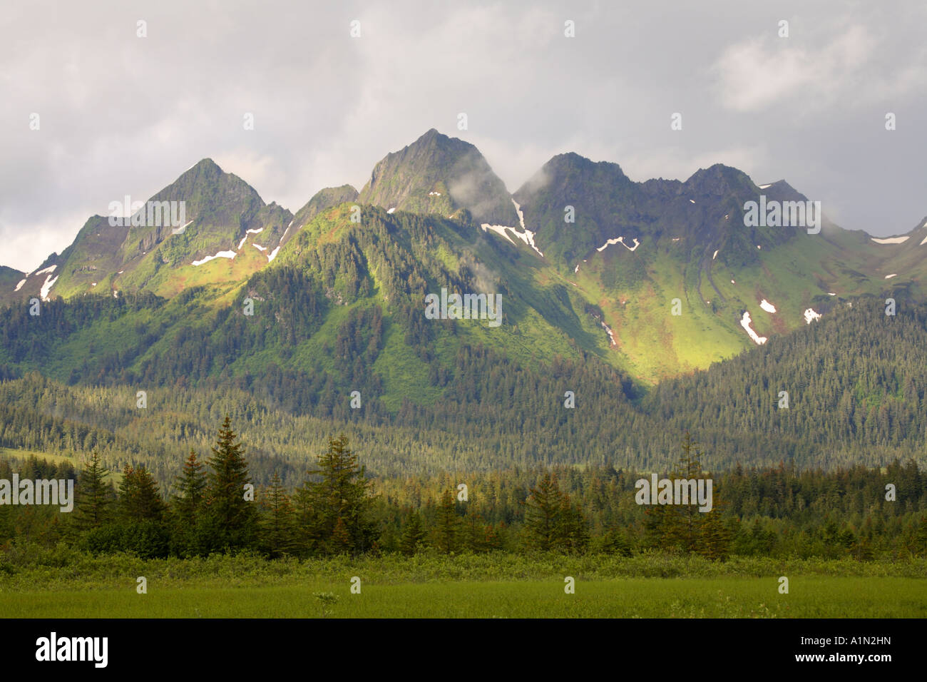 Copper River Delta Cordova Chugach National Forest Alaska Stock Photo ...