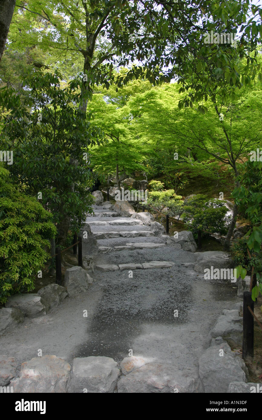 Silver stoned pathway and steps leading into lush green forest at the ...