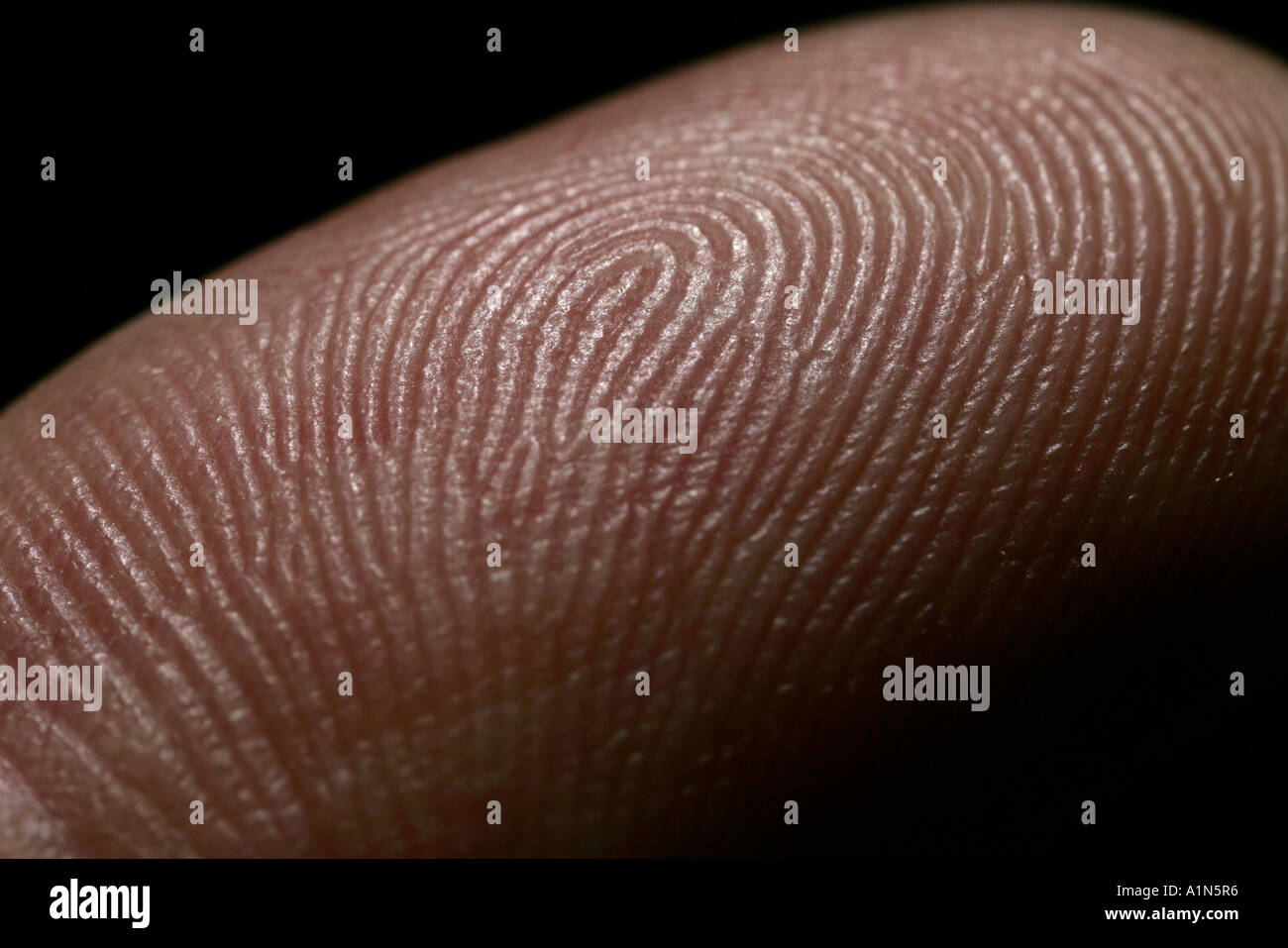 Macro fingerprint finger map hi-res stock photography and images - Alamy