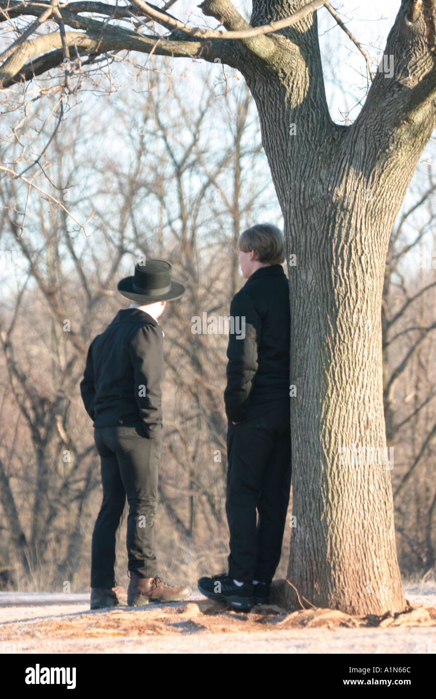 Amish boys talk while leaning against tree Stock Photo - Alamy