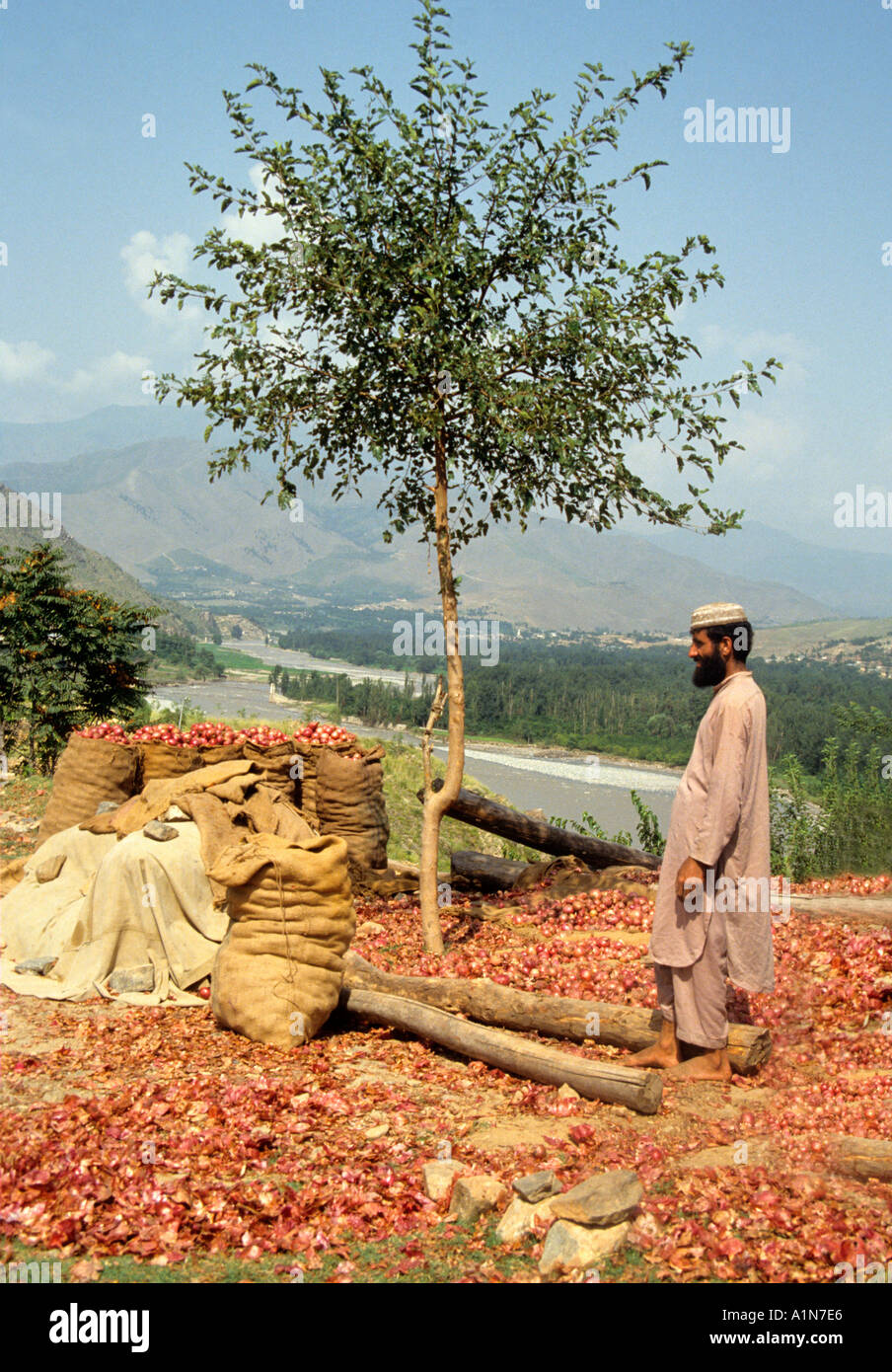 Man farming pakistan hi-res stock photography and images - Alamy