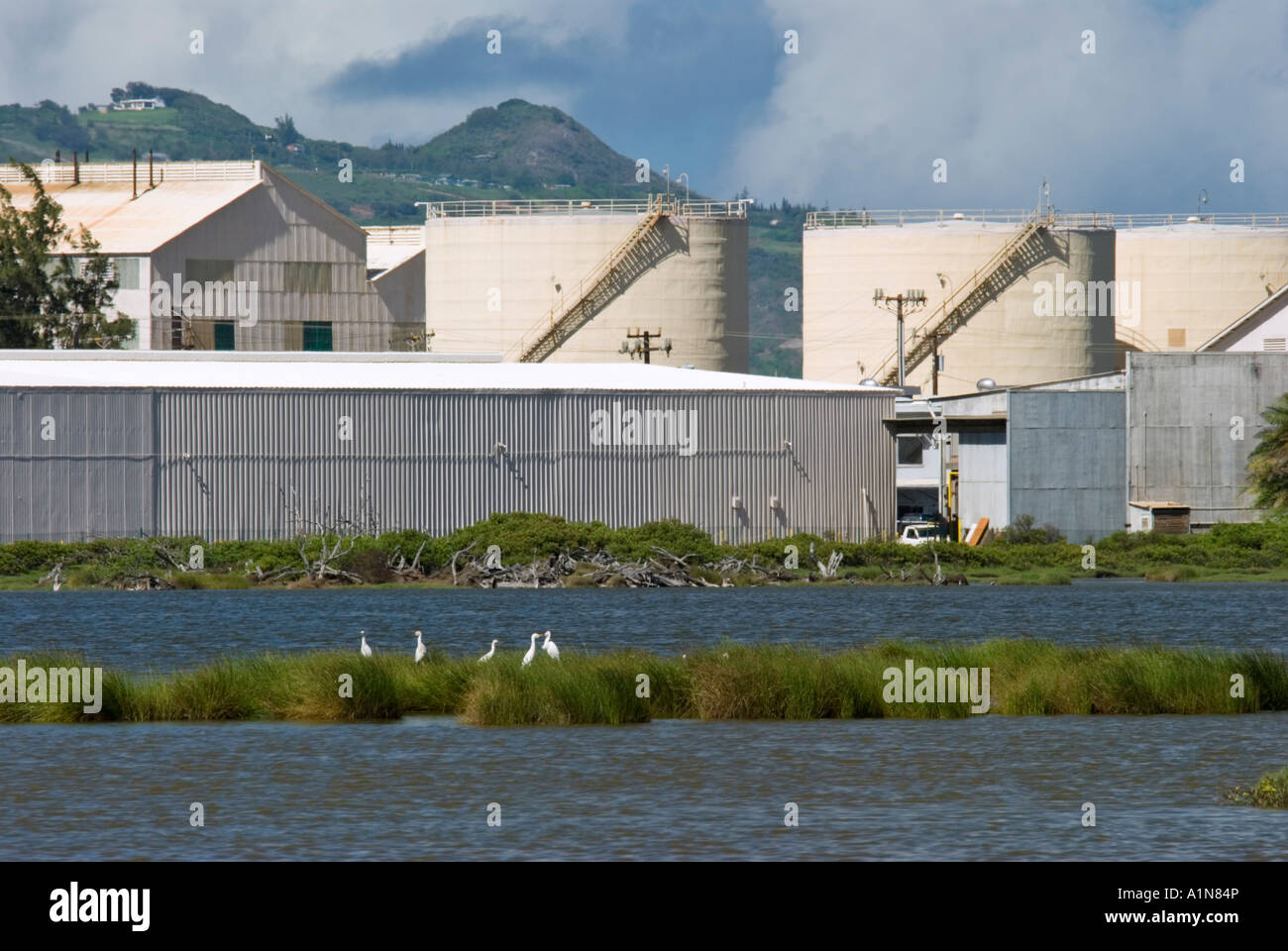 Kanaha Pond State Wildlife Sanctuary with Sewage Treatment Plant in ...