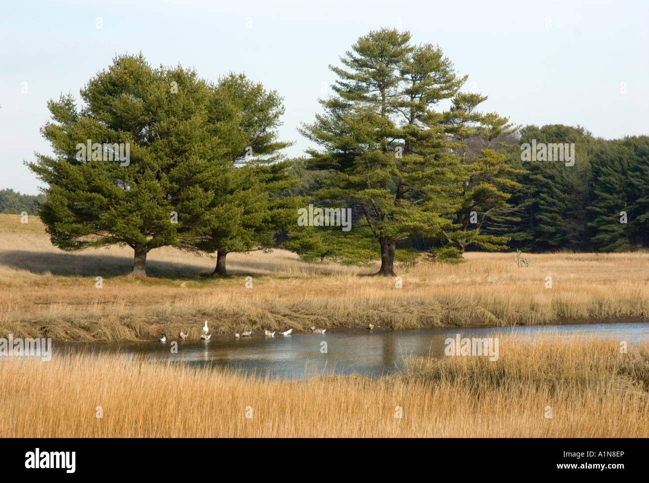 Sheepscot river hi-res stock photography and images - Alamy