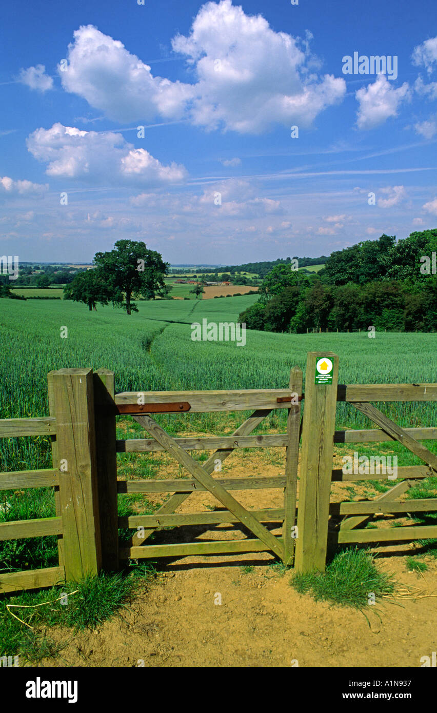 Snorscomb hi-res stock photography and images - Alamy