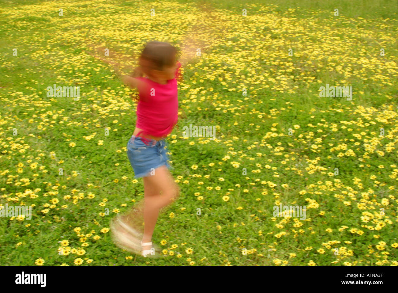 Young girl dancing in field of daisies Stock Photo - Alamy