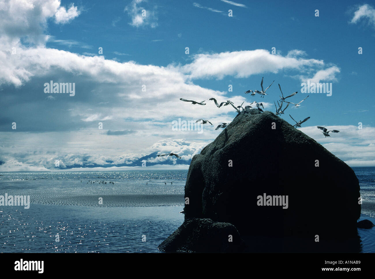 Tidal glaciers hi-res stock photography and images - Alamy