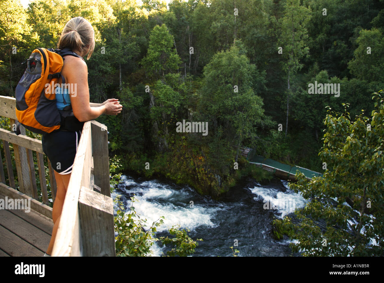 Russian river falls trail hi-res stock photography and images - Alamy