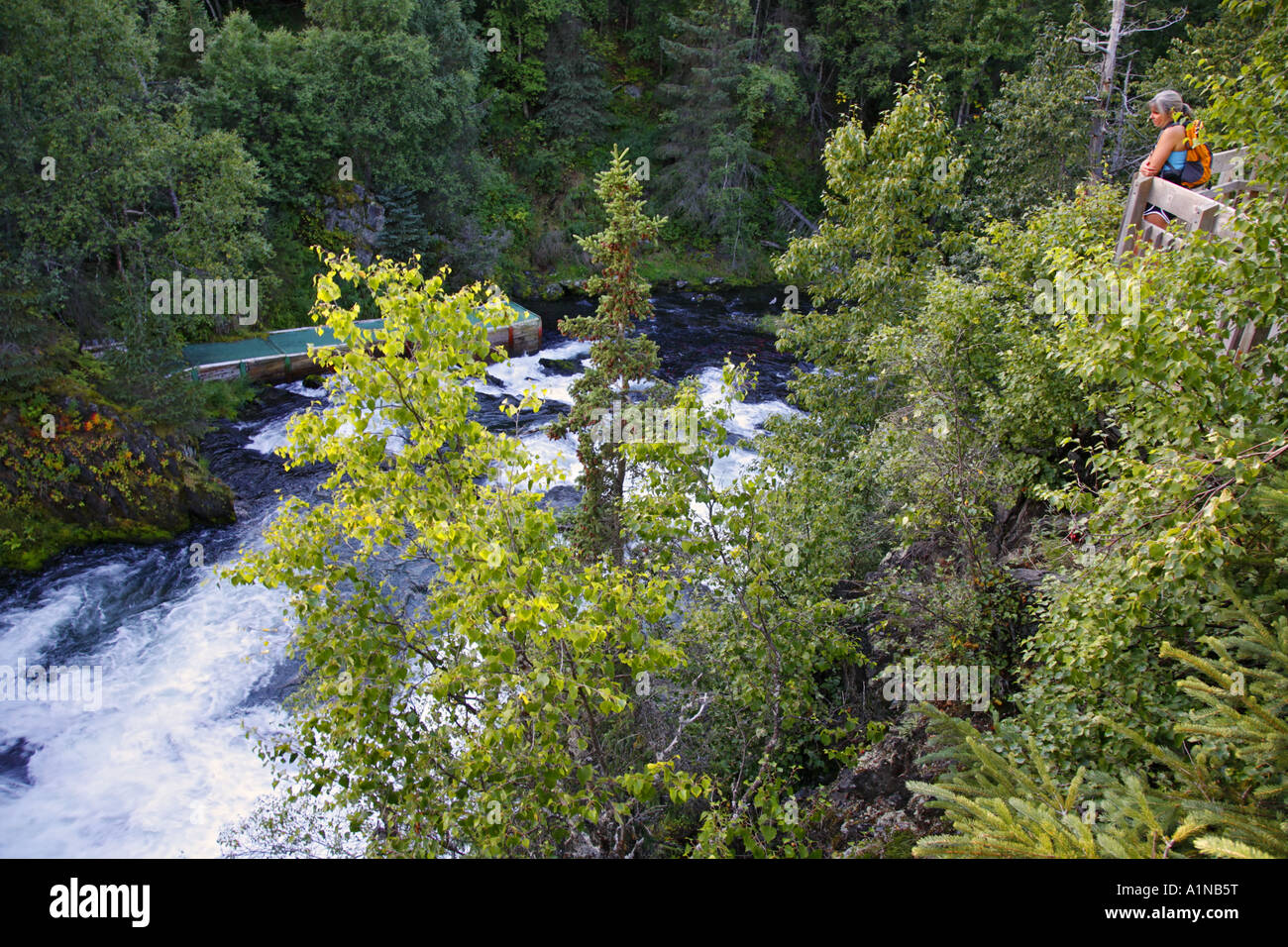 A hiker at the Russian River Falls Russian Lakes Resurrection River ...