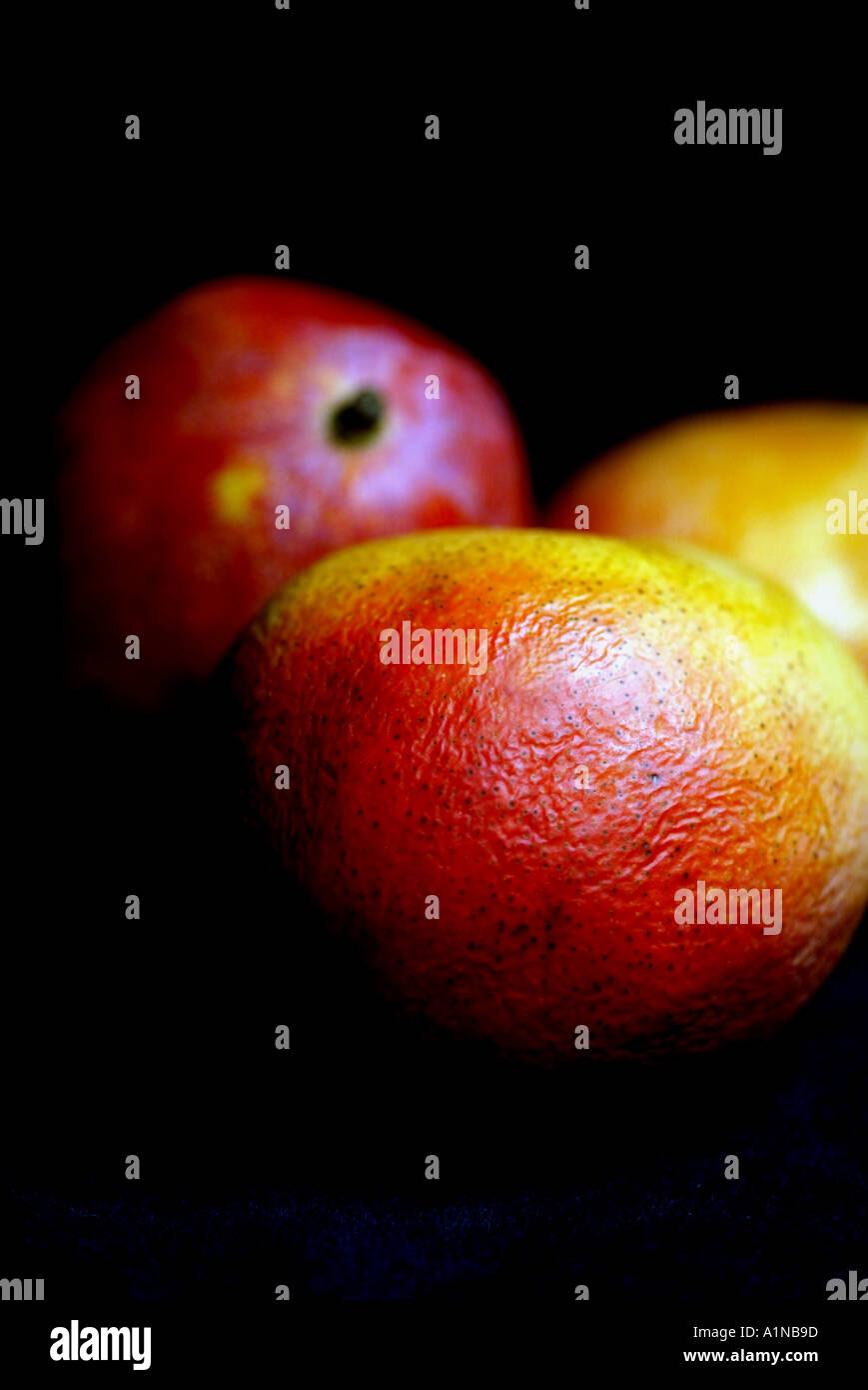 Mango Mangot Manga Fruit Photo Photos Photographs Food Plants Stock ...