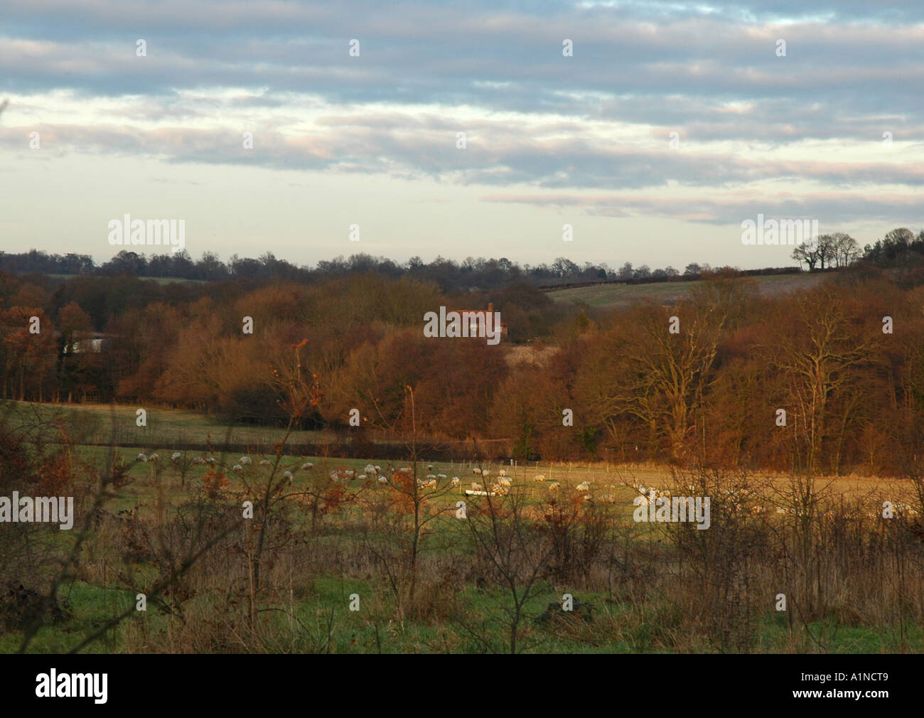 The kent landscape hi-res stock photography and images - Alamy