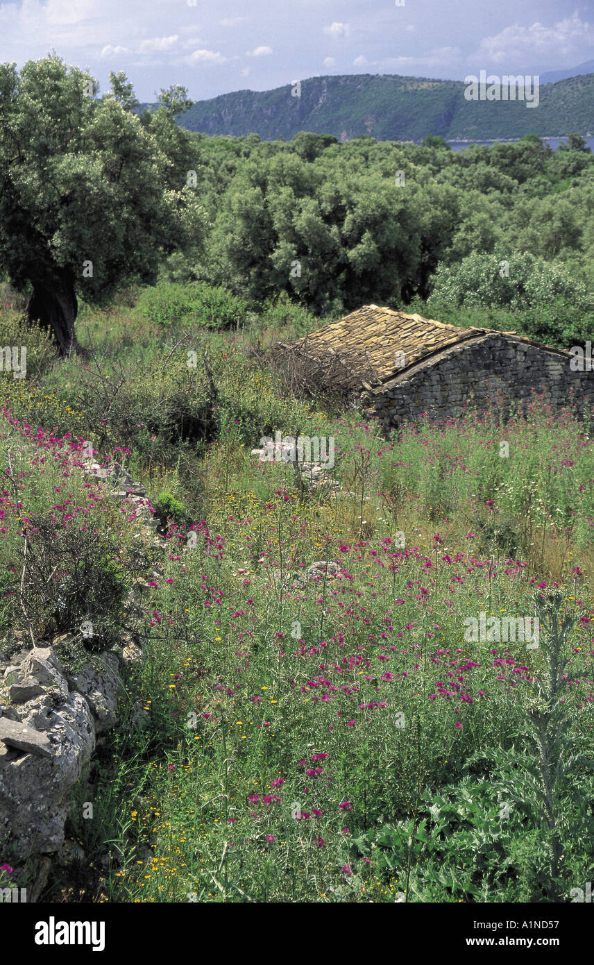 Country greek hi-res stock photography and images - Alamy