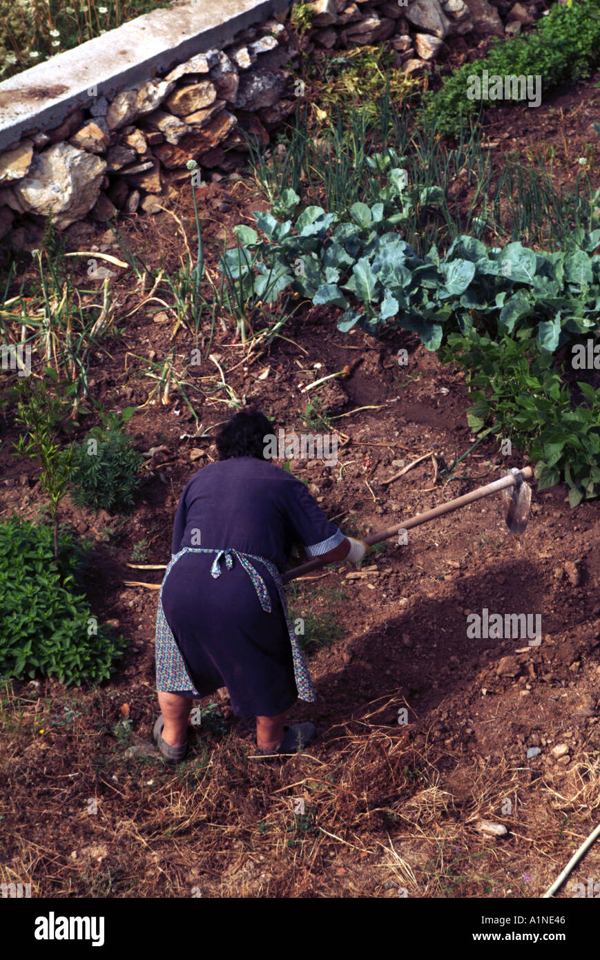 Greek peasant woman gardening Stock Photo - Alamy