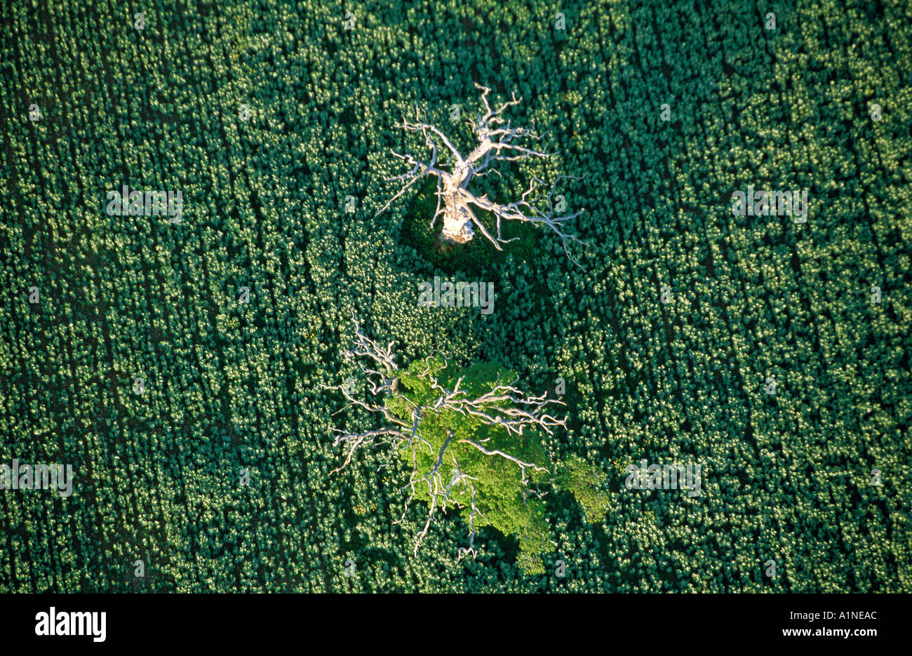 View down furrow hi-res stock photography and images - Alamy