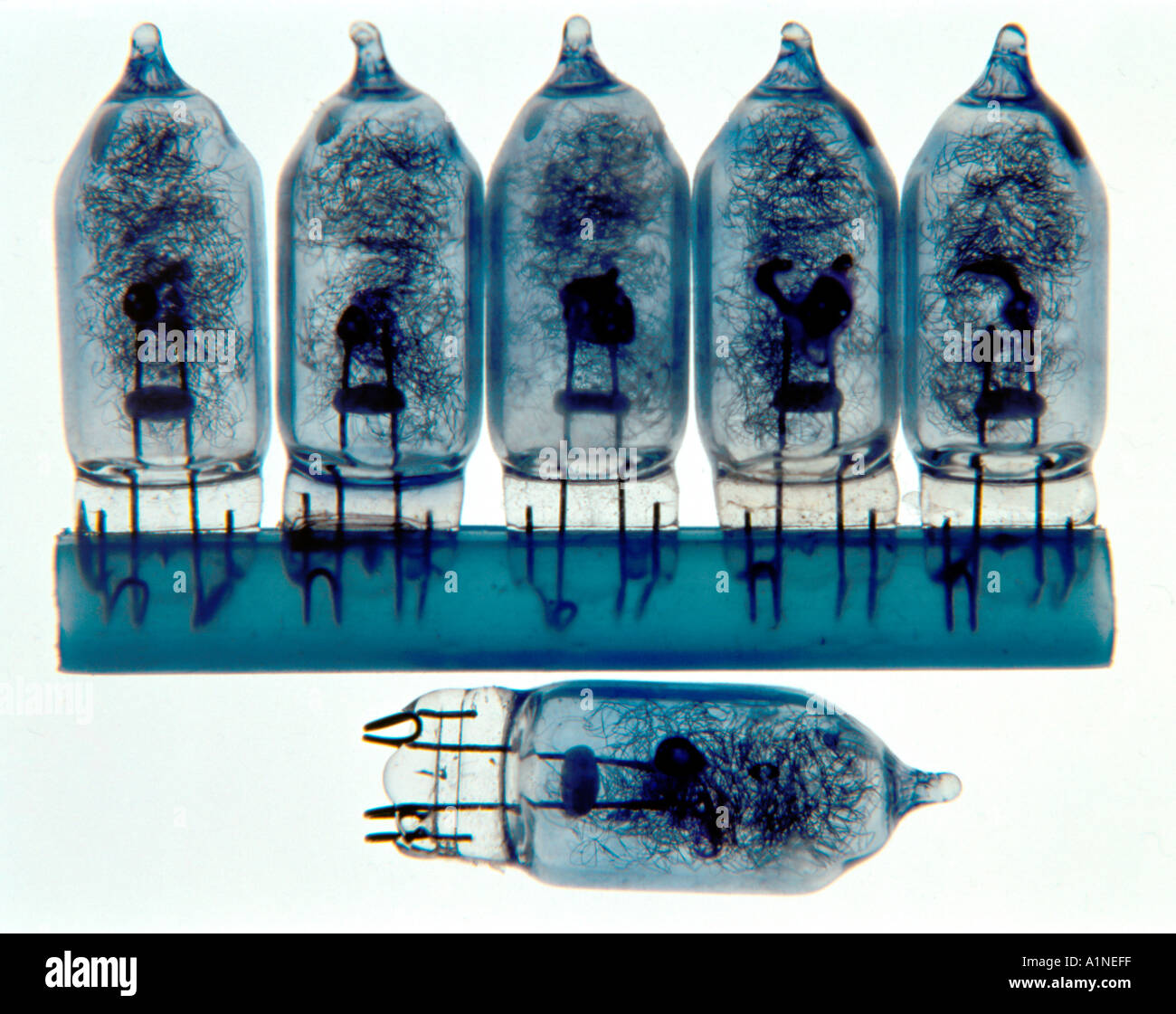 Old photo flash bulbs Stock Photo - Alamy