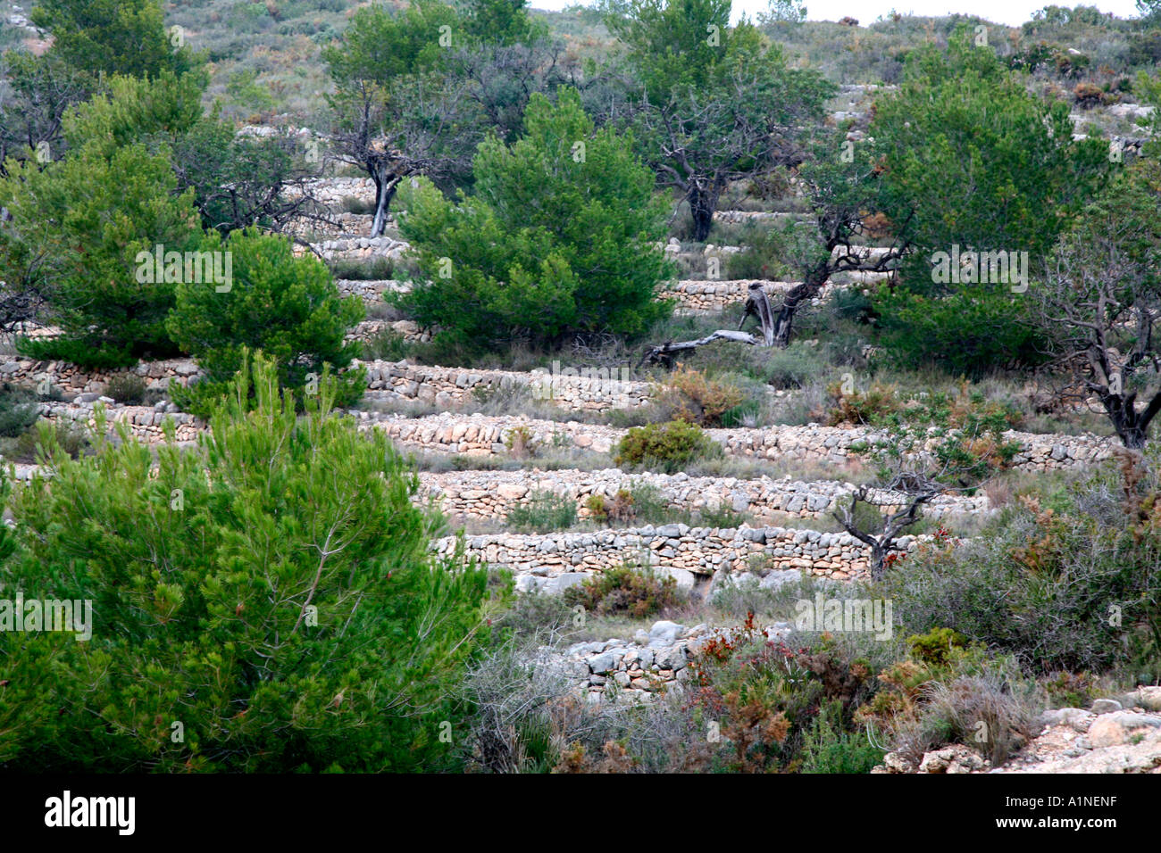 spanish stone walls on the hills Stock Photo - Alamy