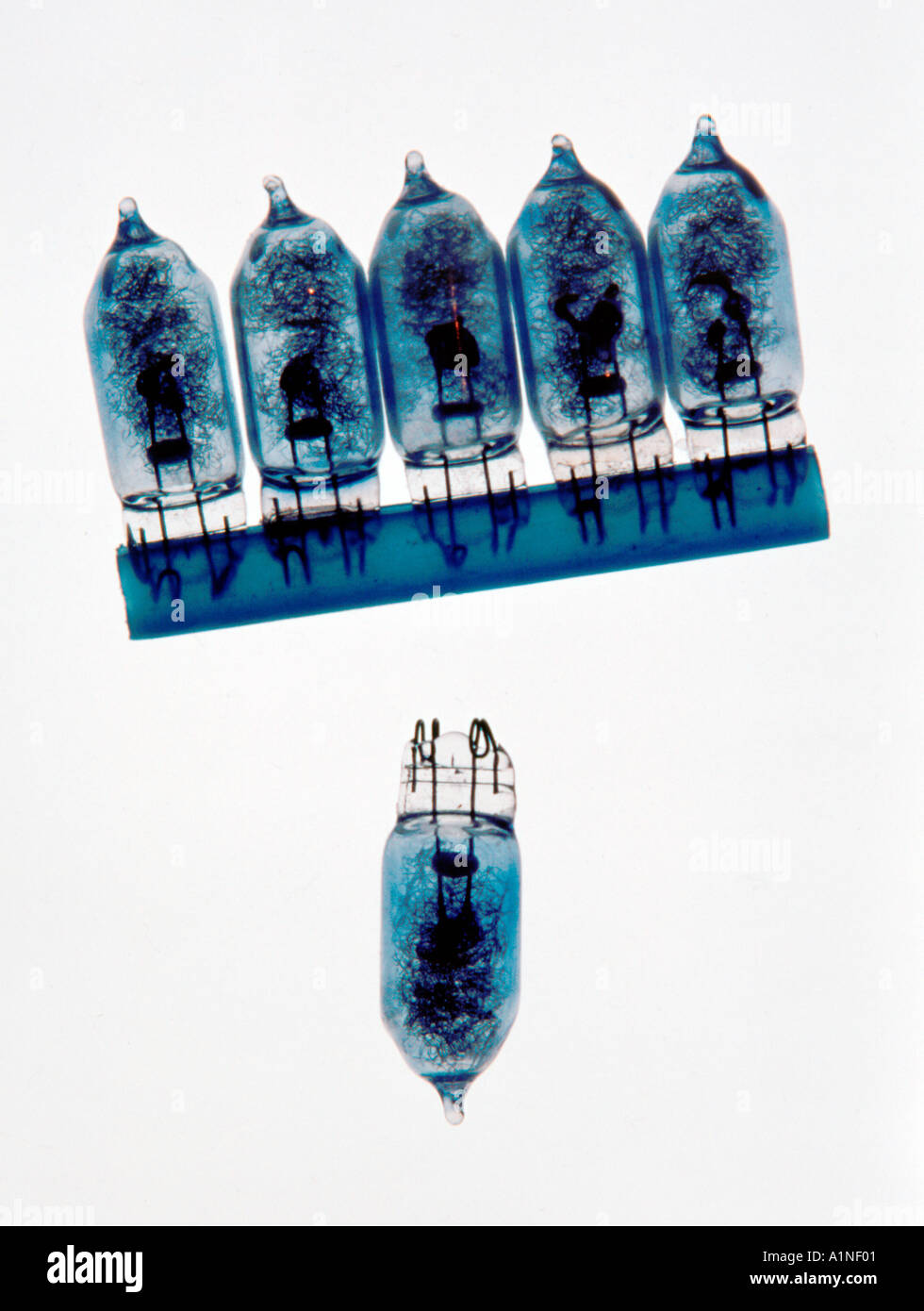 Old photo flash bulbs Stock Photo - Alamy