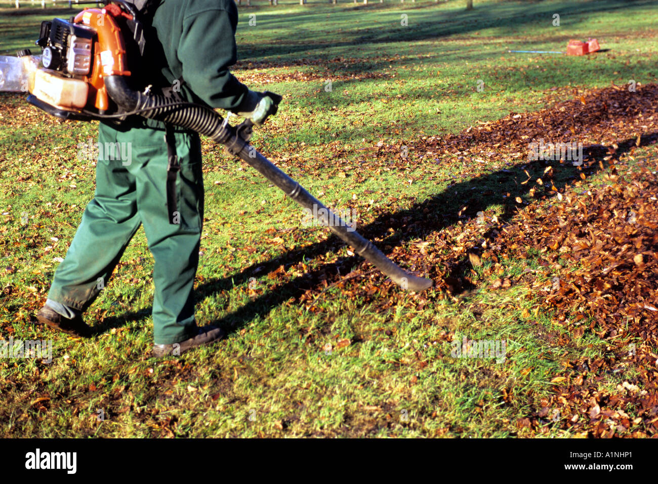Autumn Leaf clean up Stock Photo - Alamy