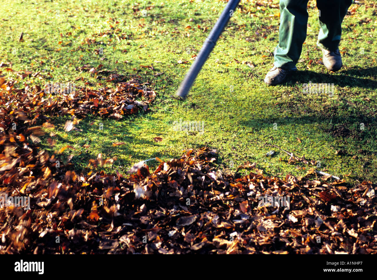 Leave blowing machine Stock Photo - Alamy