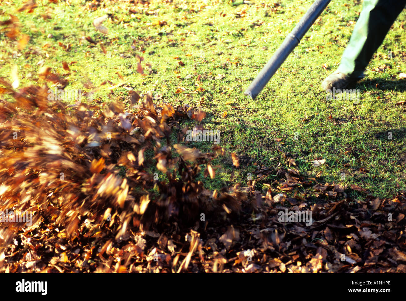 Leaf blowing machine hi-res stock photography and images - Alamy