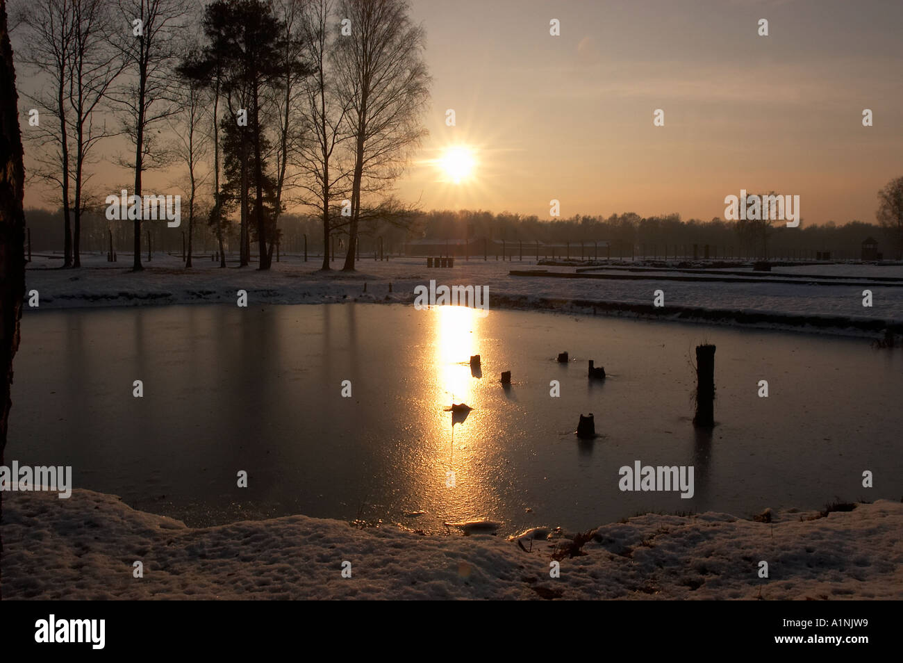 The pond into which the Nazis dumped the ashes and remains of their ...