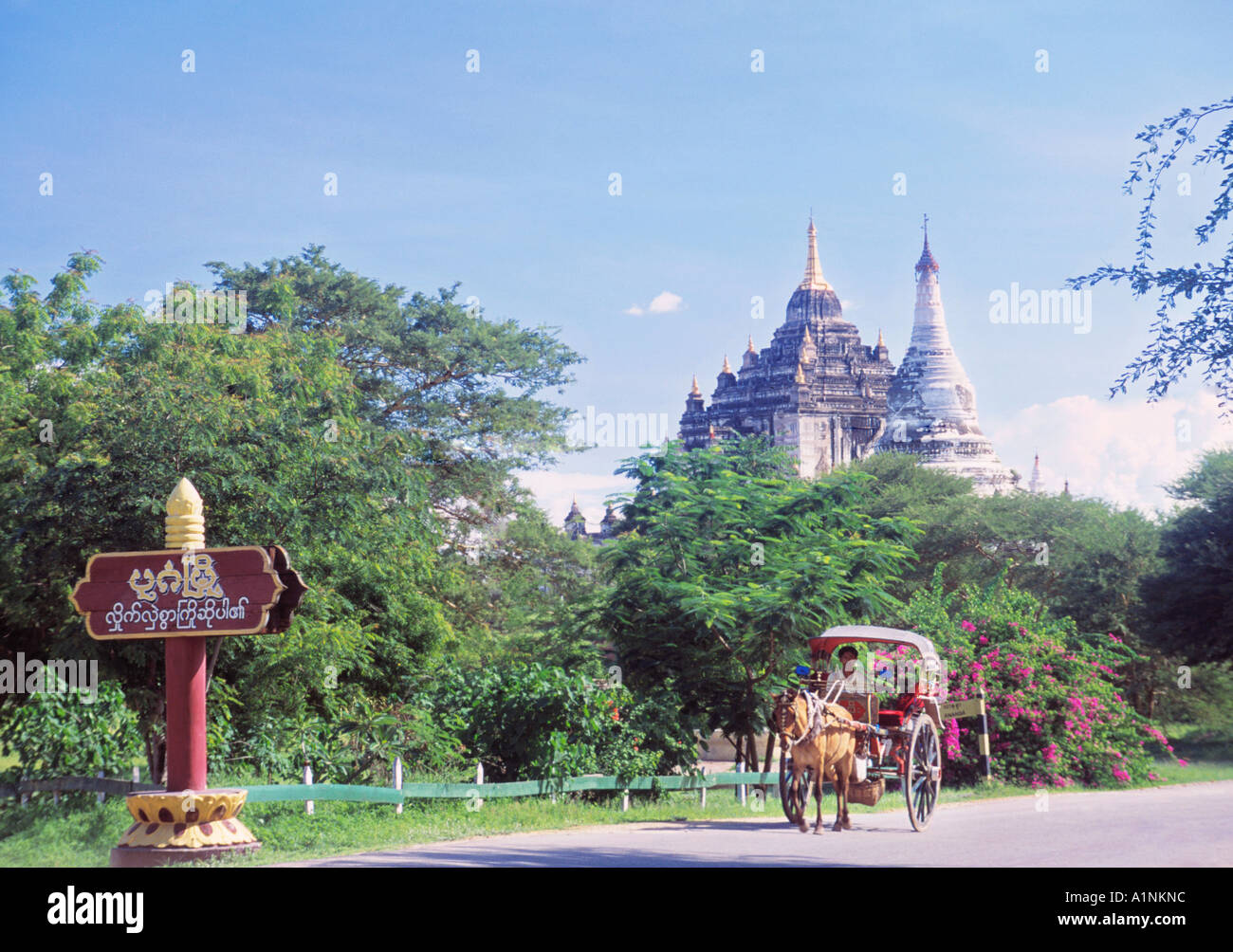 Bagan horse cart hi-res stock photography and images - Alamy