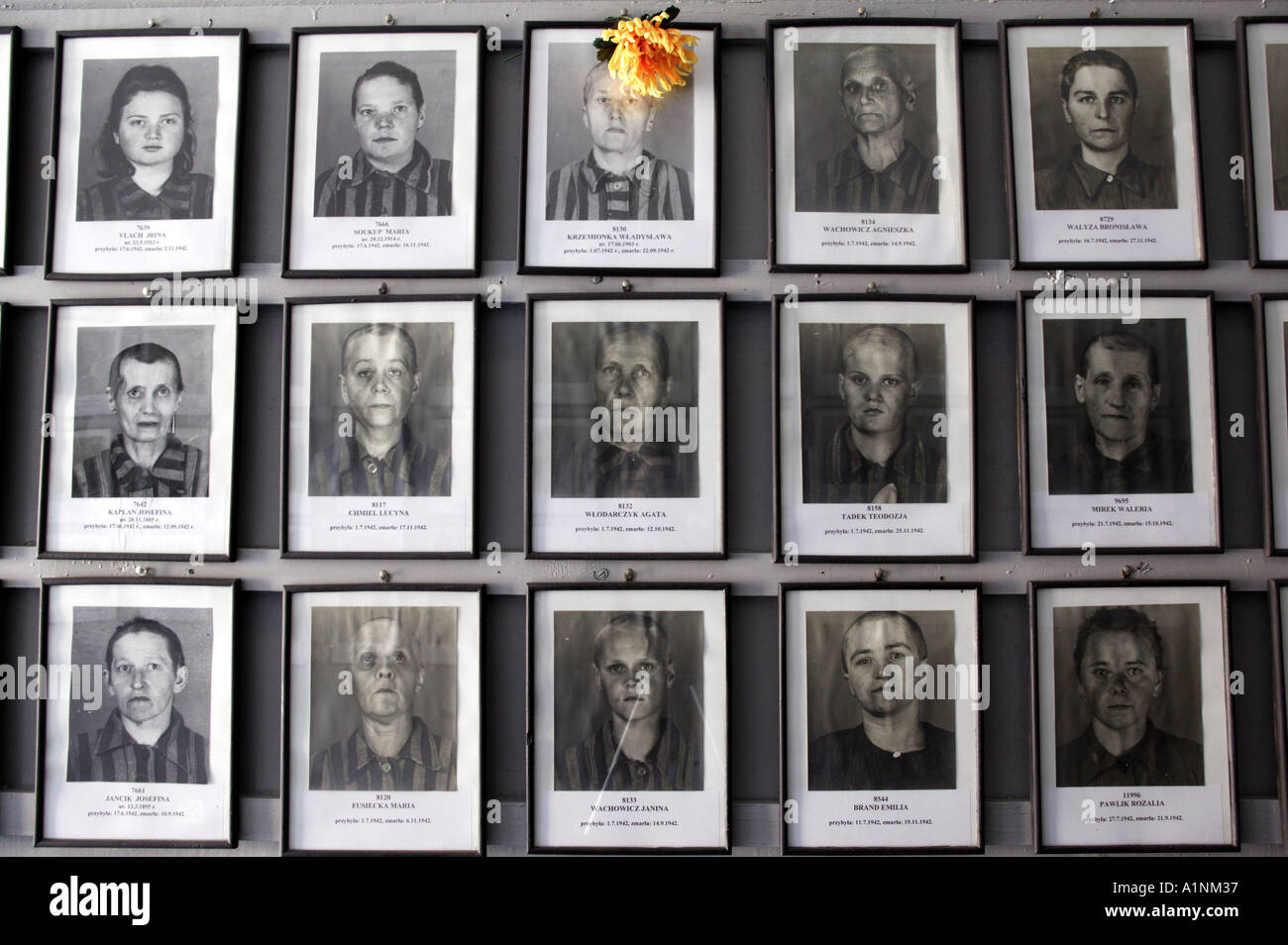Germany women prison hi-res stock photography and images - Alamy