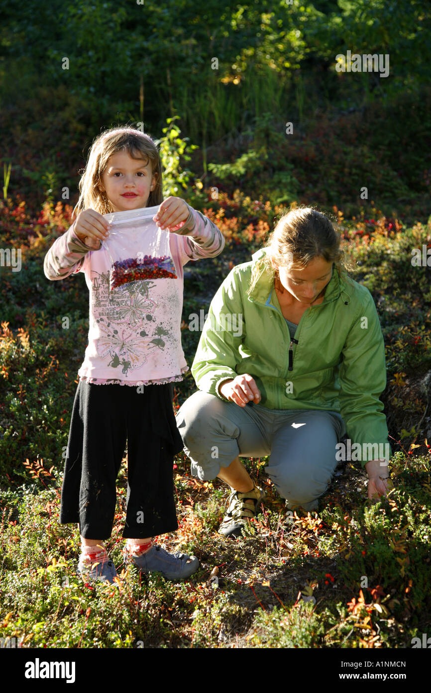 Alaska berry picking hi-res stock photography and images - Alamy