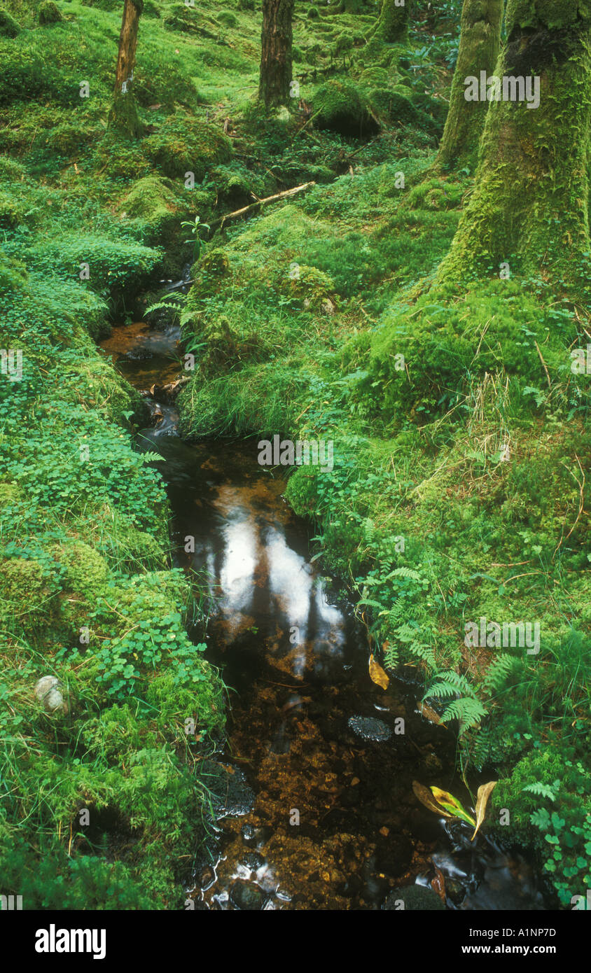 Drainage ditch hillside hi-res stock photography and images - Alamy