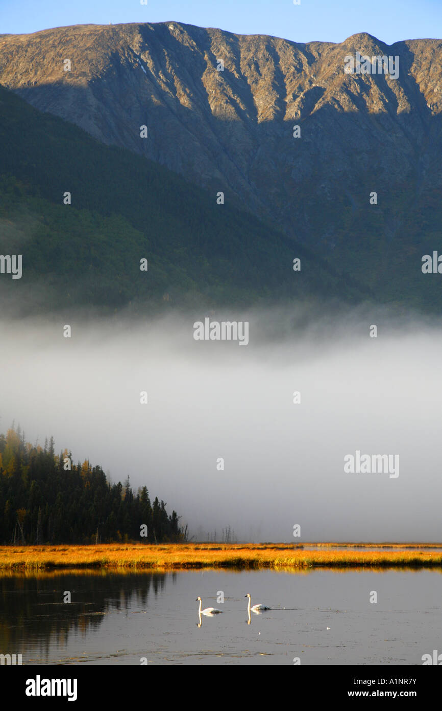 Falll migration hi-res stock photography and images - Alamy