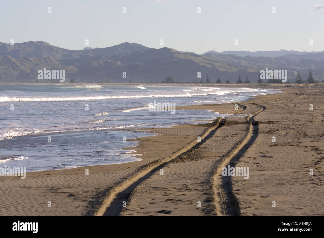 Beach scene, Gisborne, New Zealand Stock Photo - Alamy