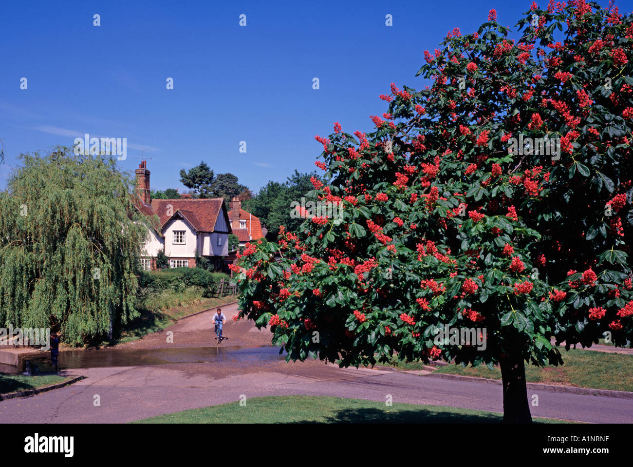 Braughing Hertfordshire England UK Stock Photo - Alamy