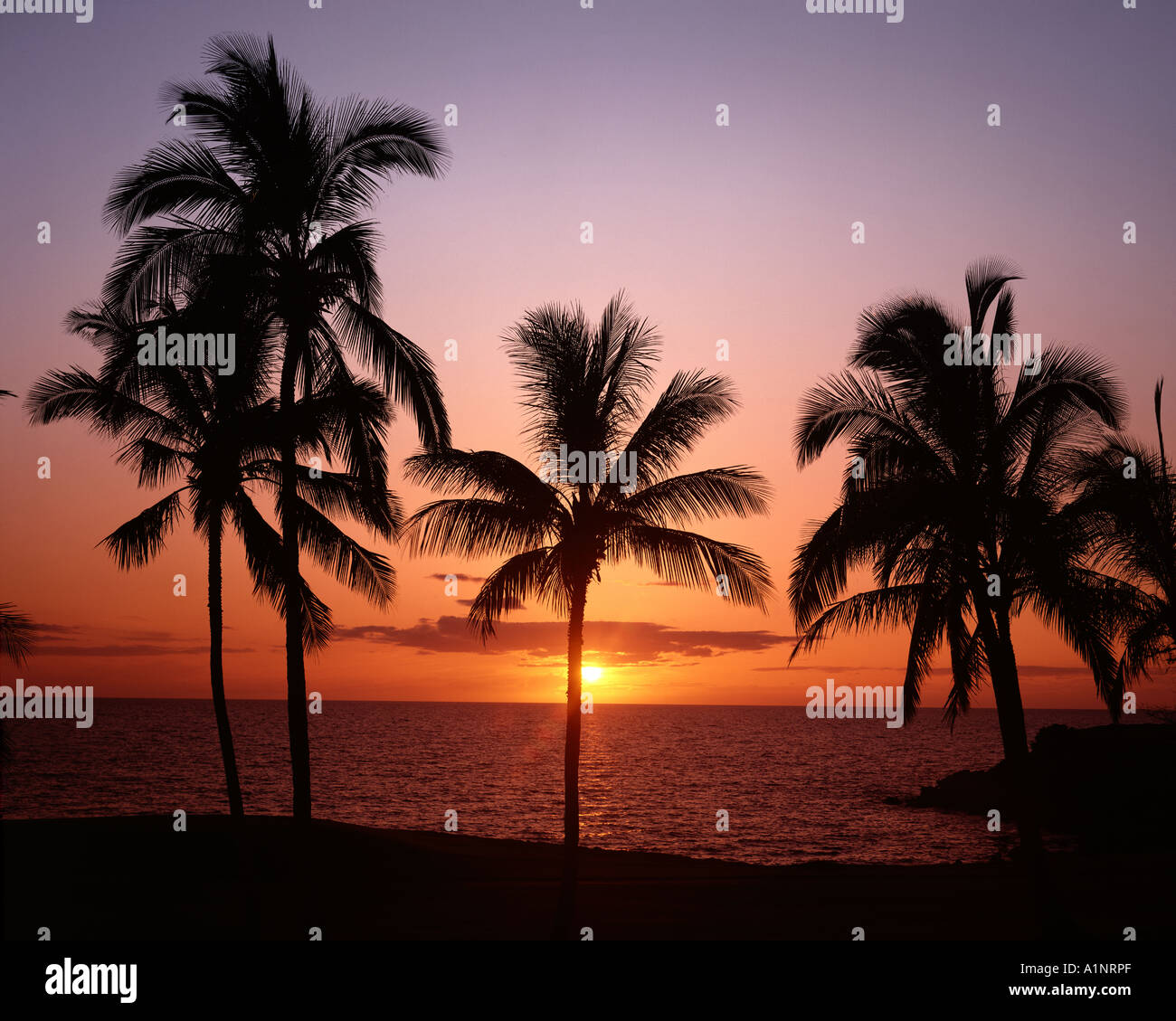 USA - HAWAII: Sunset at Mauna Kea Beach on the Big Island Stock Photo ...