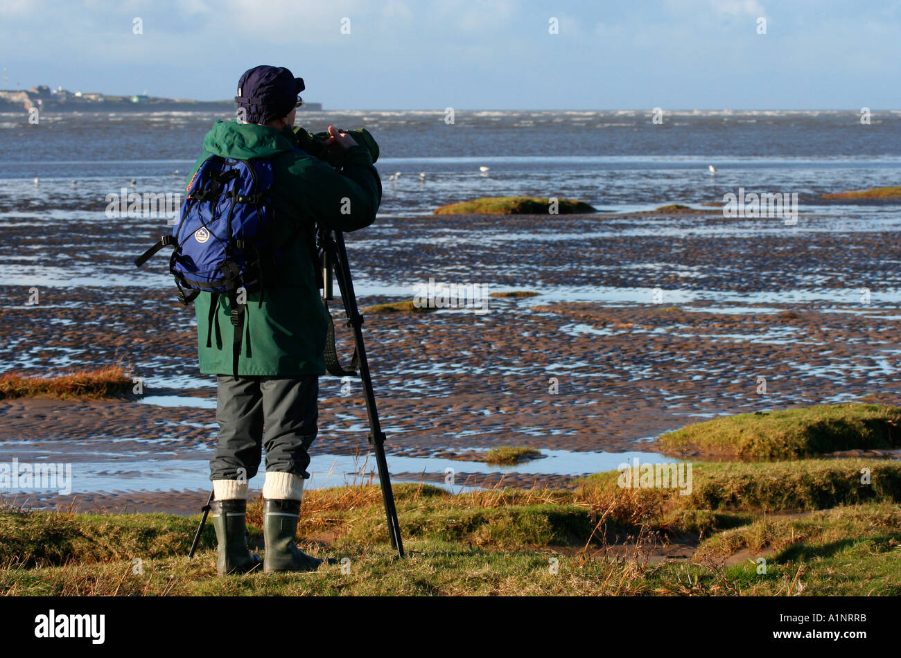 Birdwatcher estuary hi-res stock photography and images - Alamy